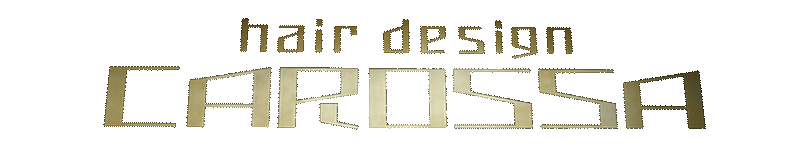 CAROSSA | ヘアデザインキャロッサは千葉県習志野市京成実籾駅にある美容院